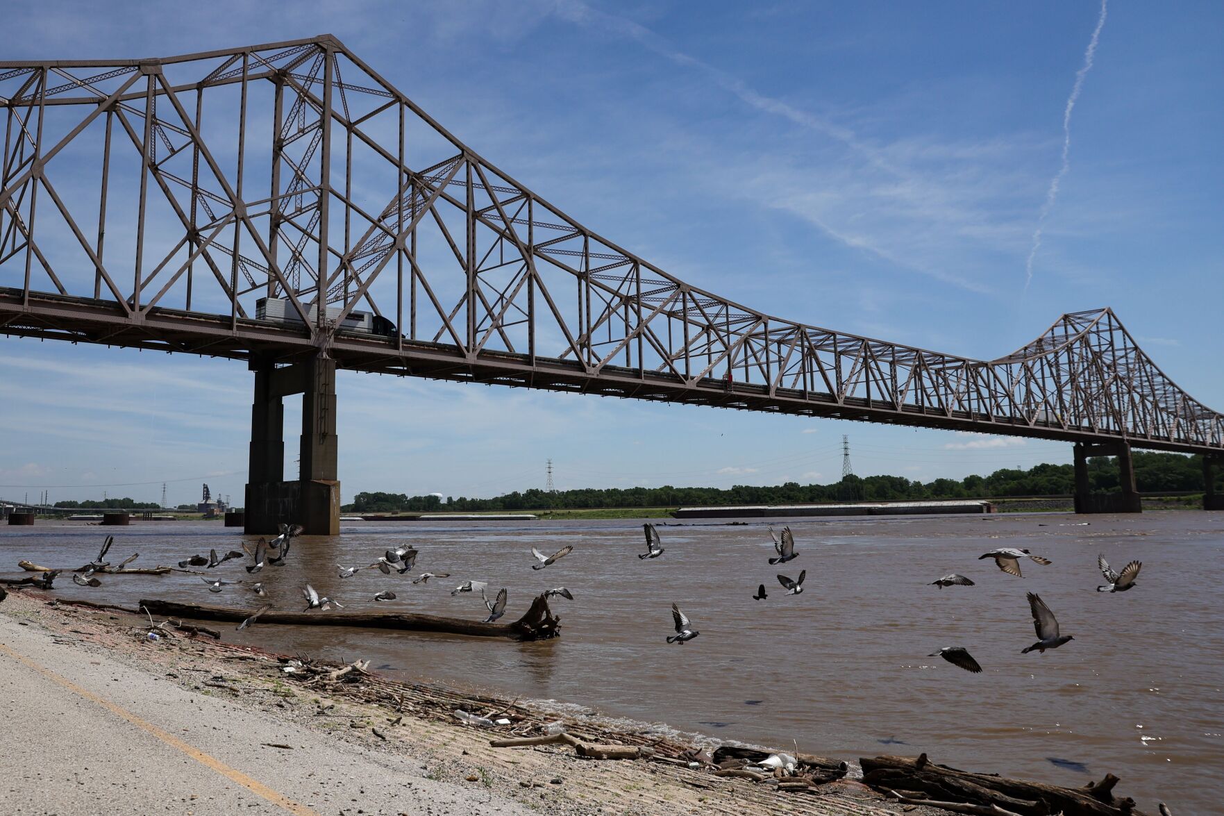 Dr. Martin Luther King Memorial Bridge