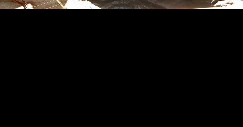 MSD's $945 million bond issue coasts to adoption