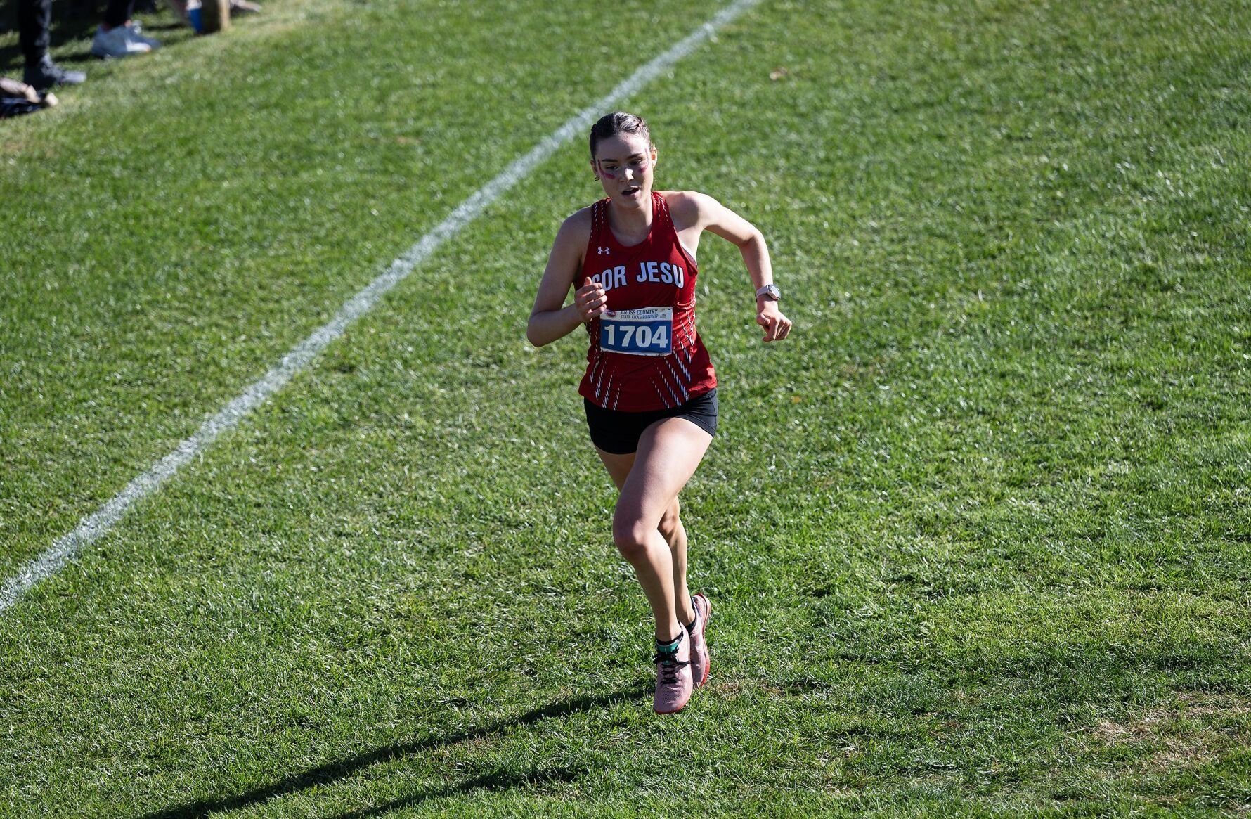 Cor Jesu's Mary McKenzie led on and off course: All-Metro girls cross ...