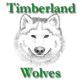 Timberland offense rallies to topple Zumwalt West