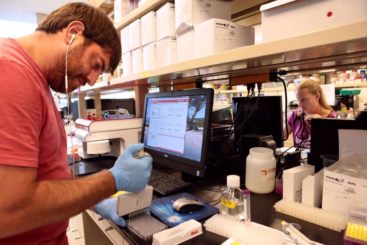 Report puts spotlight on St. Louis bioscience sector