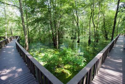 Mingo National Wildlife Refuge