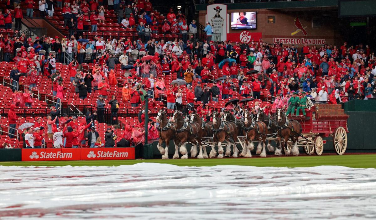 Photos and Video: Cardinals baseball fans flock to 2025 opening day ...