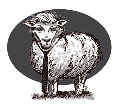 Confessions of a Trump voter