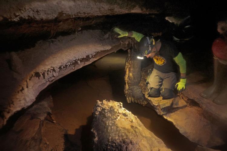 This endangered fish species lives only in 5 Missouri caves