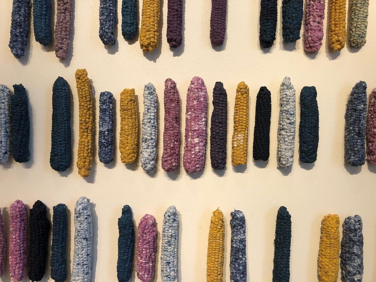 Neman: Corn exhibit at MoBot museum is seeded with amazing facts