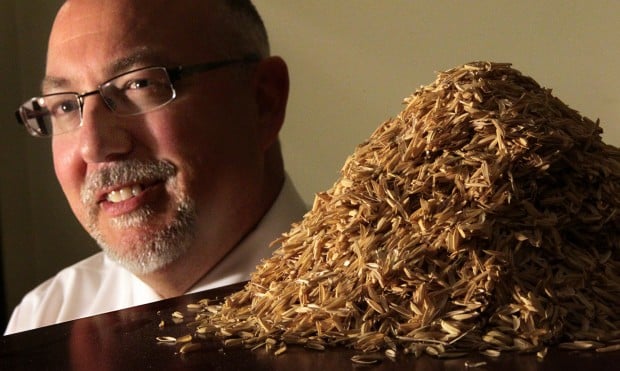 Five questions with Steve Peirce of RIBUS, Inc.