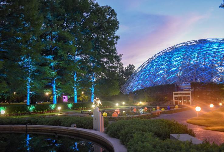 Lights, flora, action: 'Flora Borealis' makes Missouri Botanical Garden ...