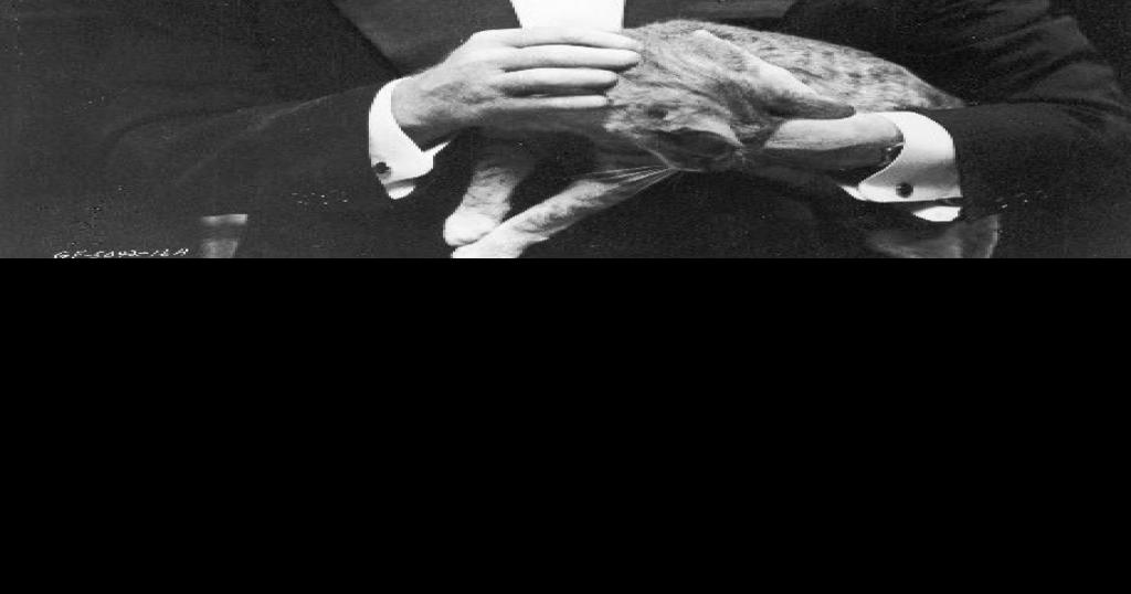 'The Decider' -- 'The Godfather' vs. 'The Godfather: Part II'