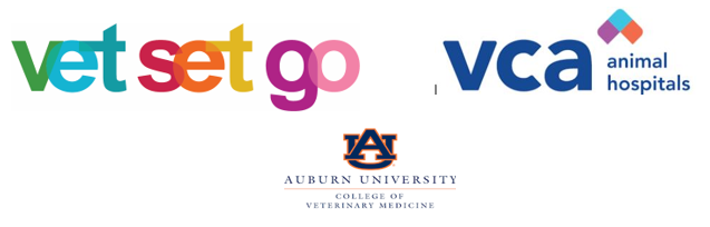 Become a Vet Camp Contest 2023 Submissions Open Now through 3/31