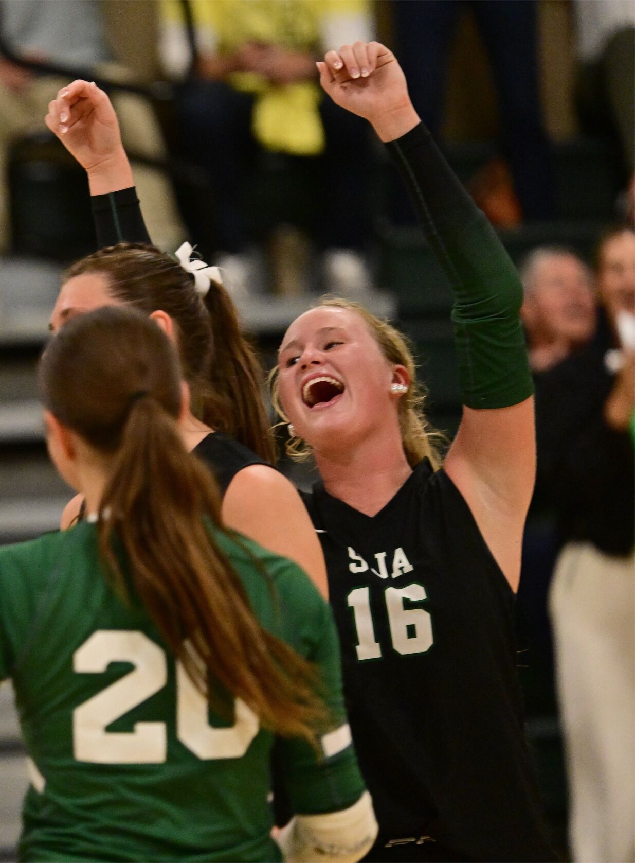 St. Joseph's def. Mascoutah 25-23, 25-23, 25-22