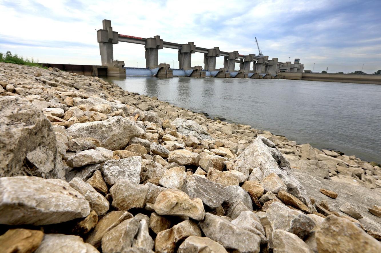 A prehistoric fish is endangered in Missouri and Illinois. But it's ...