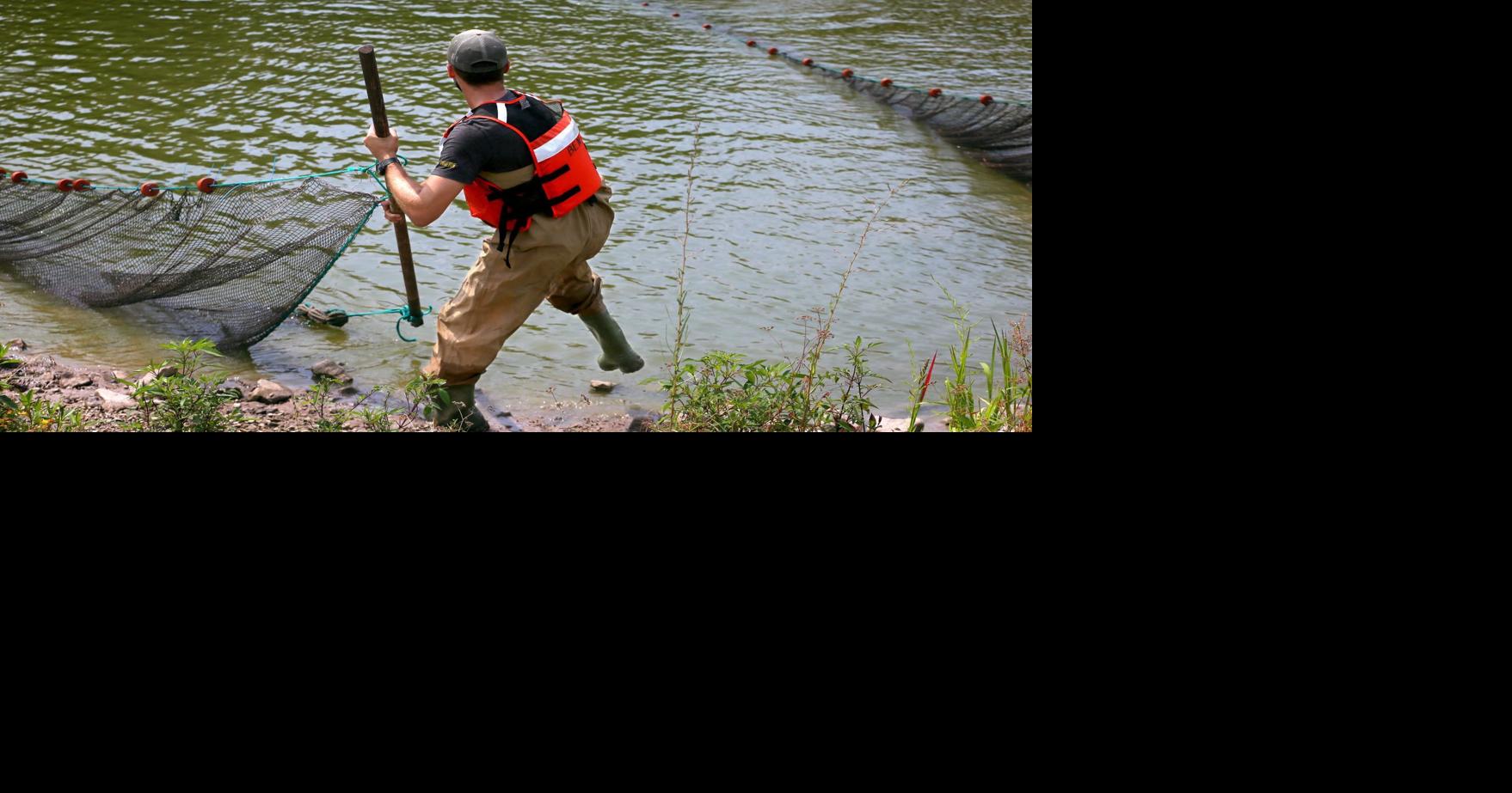 Photos: USGS grant aims to study invasive carp movement