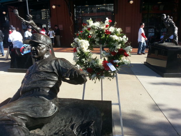 Notion of Cardinal family flowers outside Busch