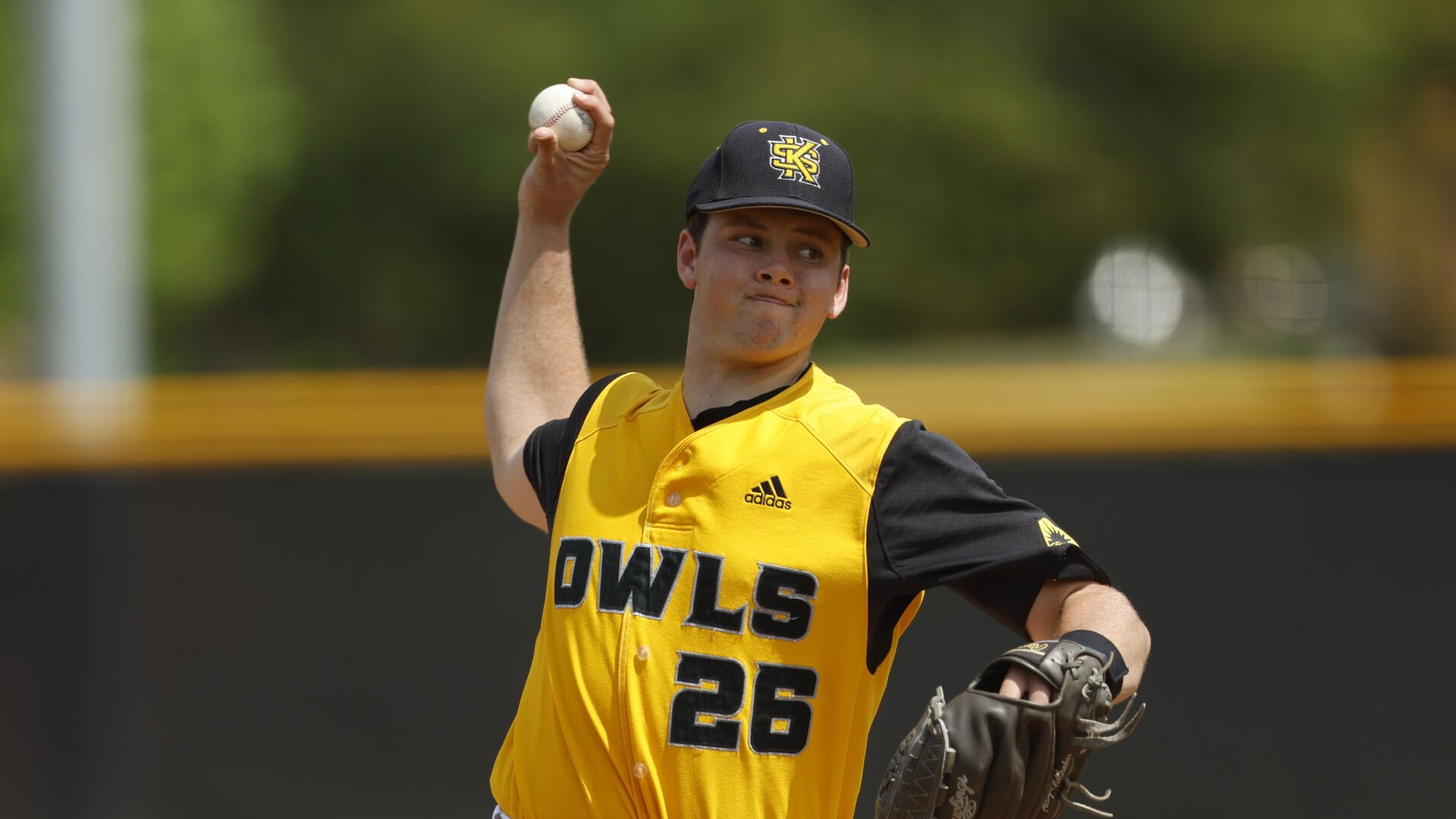 A look at the prospects Cardinals got for Willson Contreras