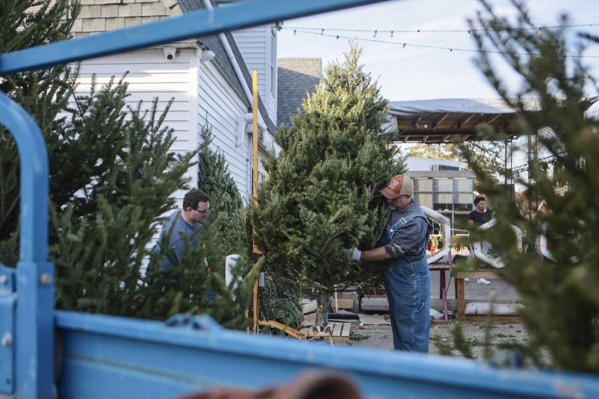 Limited Christmas tree supply isn’t deterring local sales, St. Louis ...