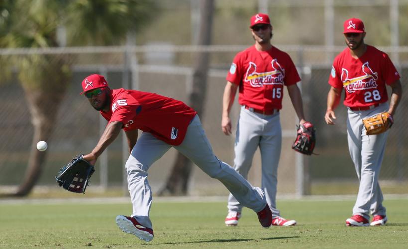 Full Squad Workouts begin at Cardinals Spring Training