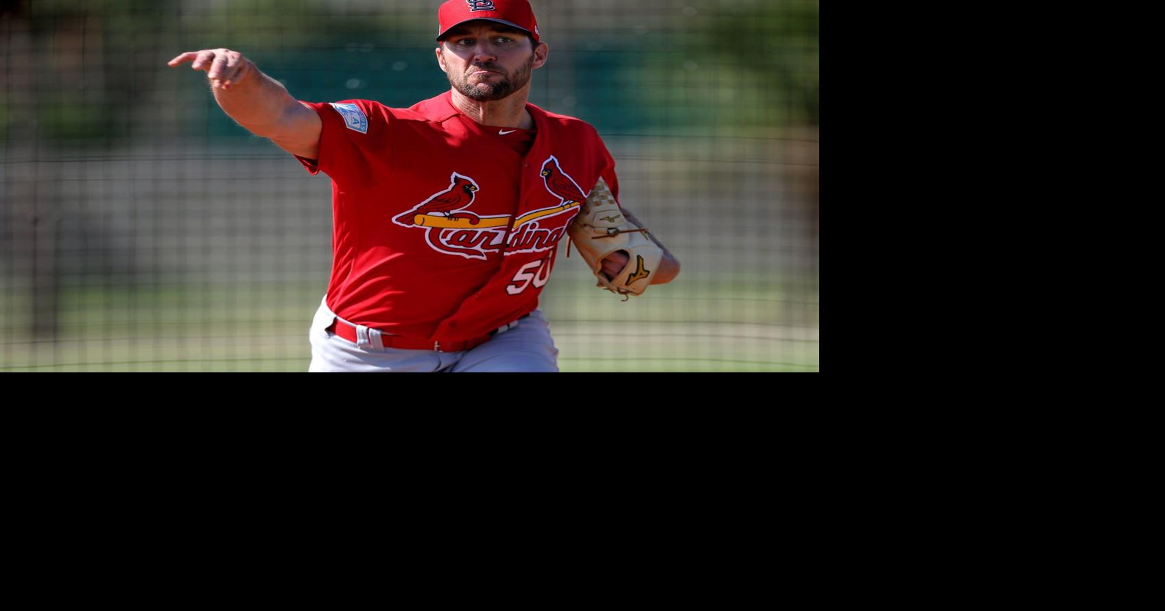 Cardinals' dandy defense helps Waino, but homers sink Cardinals vs. Tigers