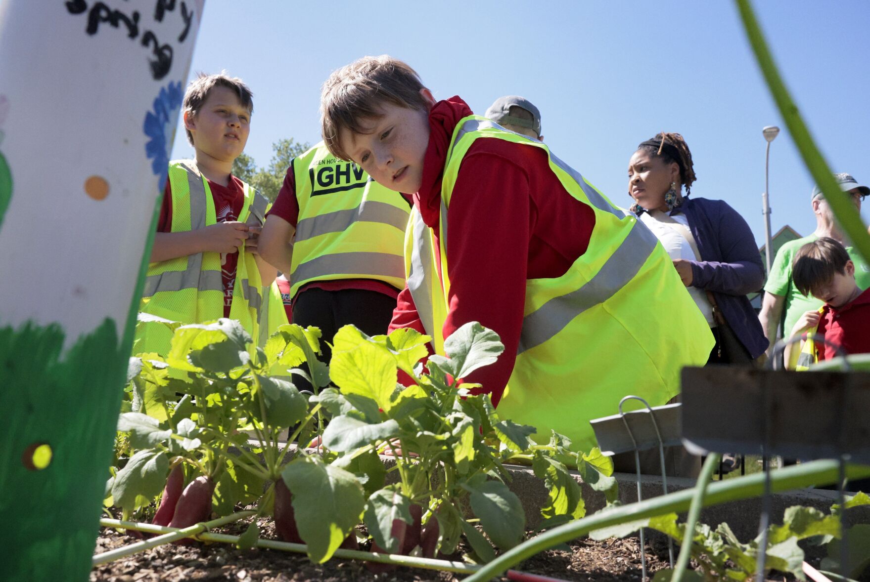 Photos: Green House Venture teaches gardening to St. Louis kids
