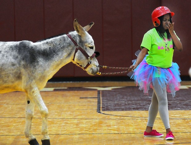 PHOTOS: Donkey dunks in Belleville