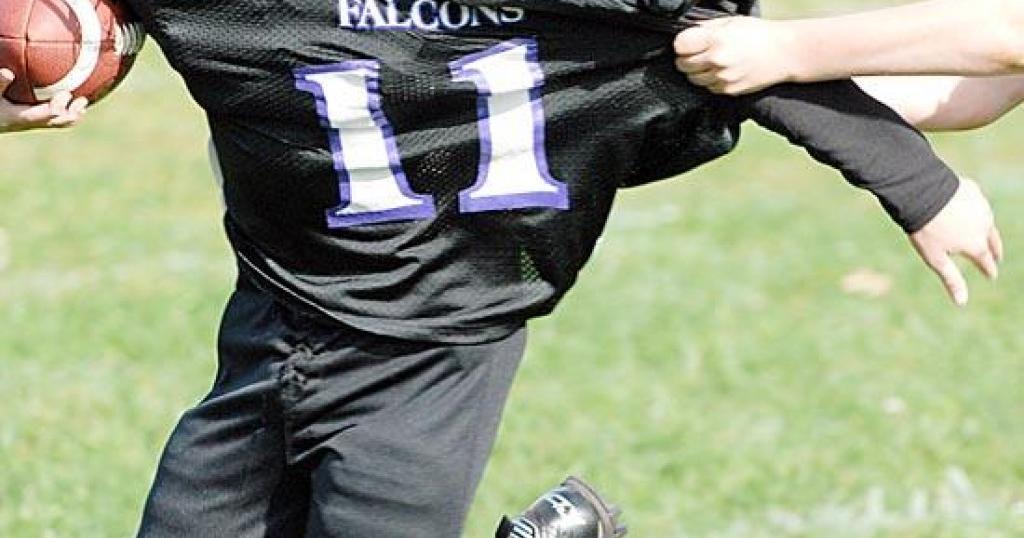 Fairview Falcons are flying again