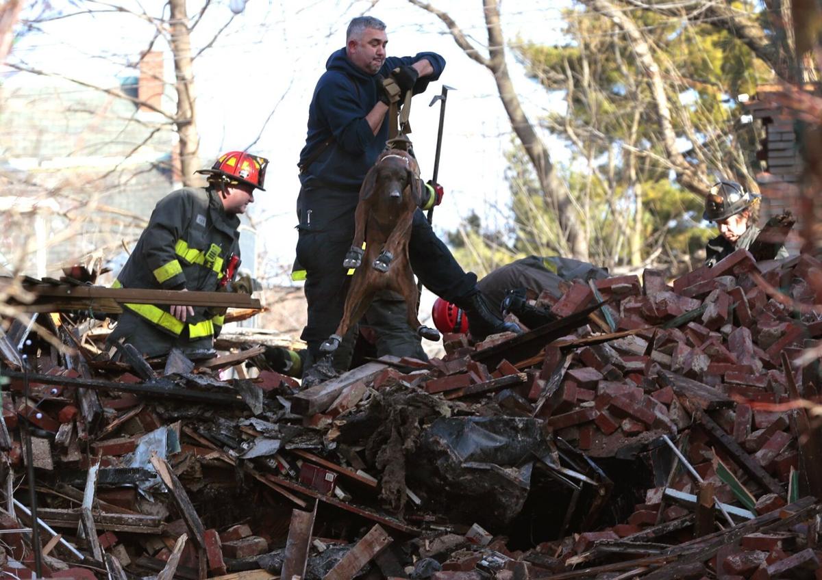 St. Louis rescue dog dies searching downtown's condemned Railway ...