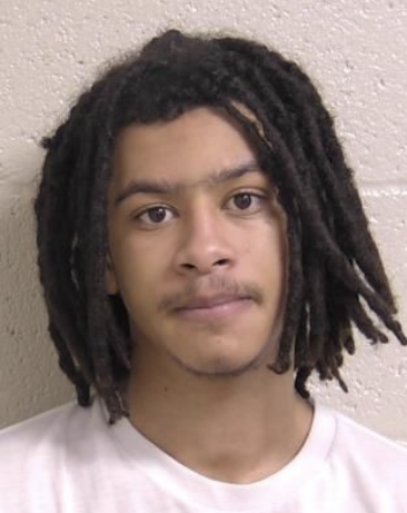 Alton teen who 'wanted to earn his stripes' in gang gets 35 years for ...