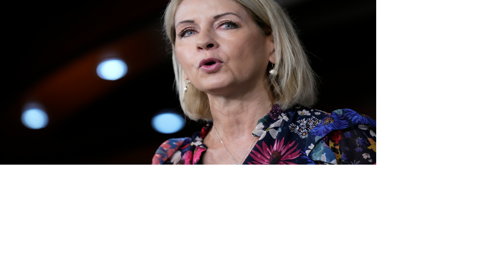 Illinois US Rep. Mary Miller aims to deny food stamps to most noncitizens