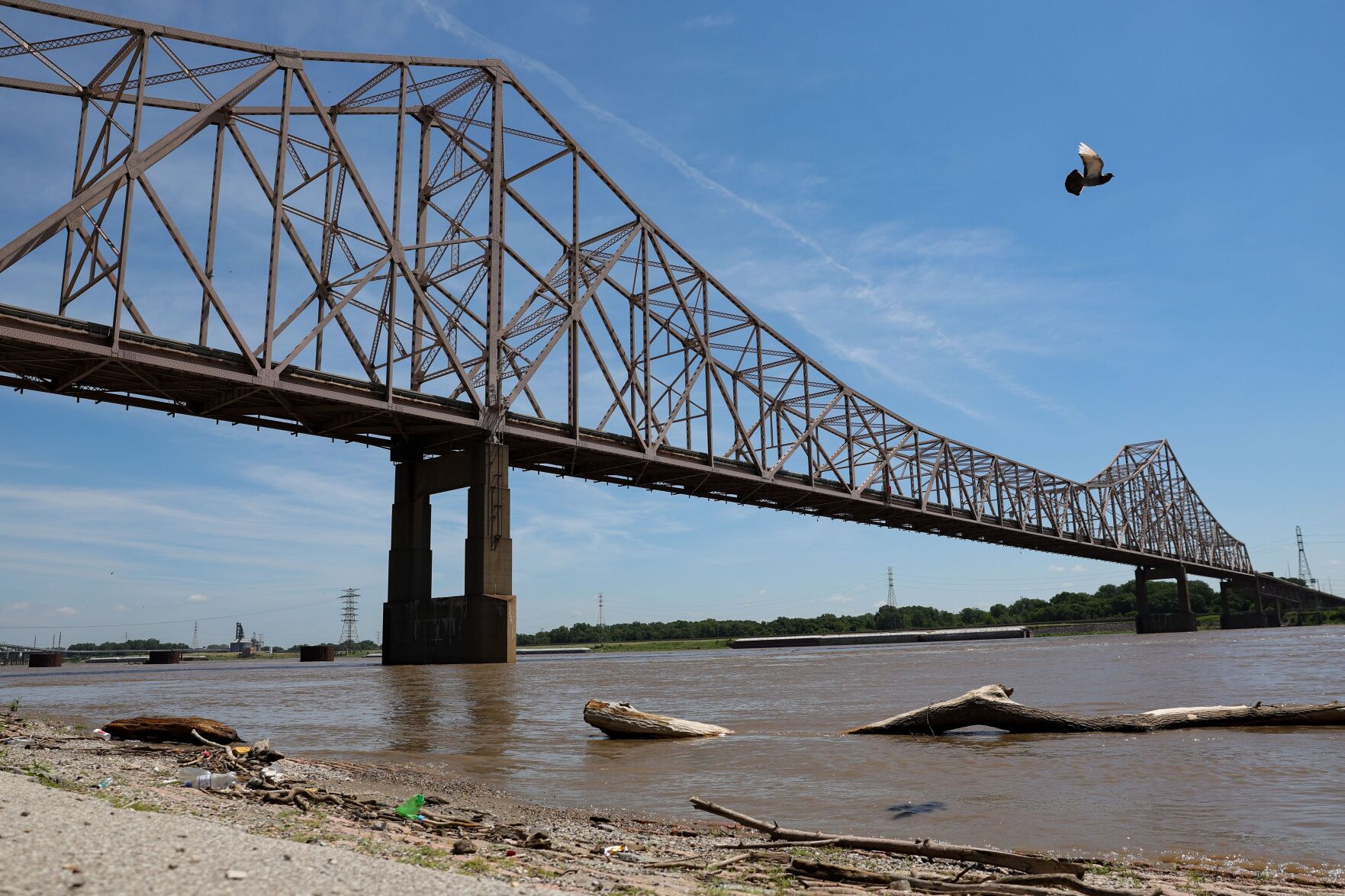 Dr. Martin Luther King Memorial Bridge