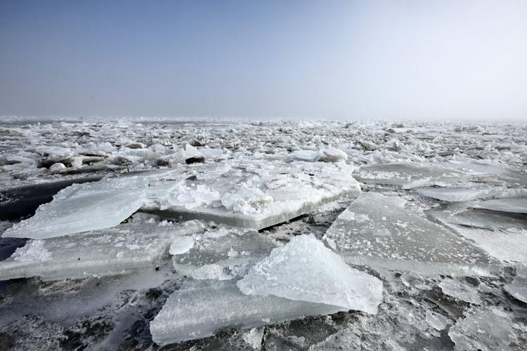Man who drowned in Mississippi tried to save dogs on ice