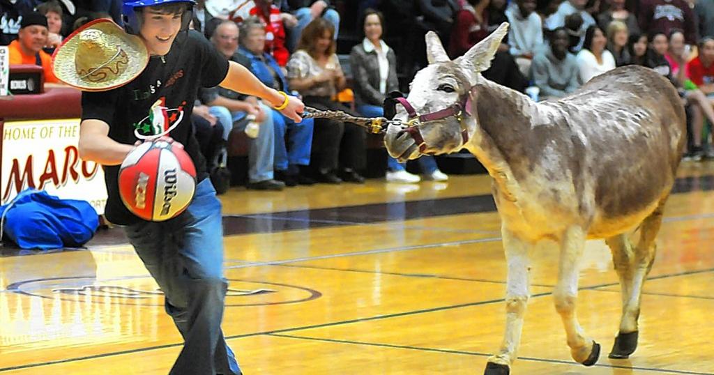 PHOTOS: Donkey dunks in Belleville