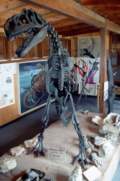 Dinosaur Diamond Prehistoric Highway