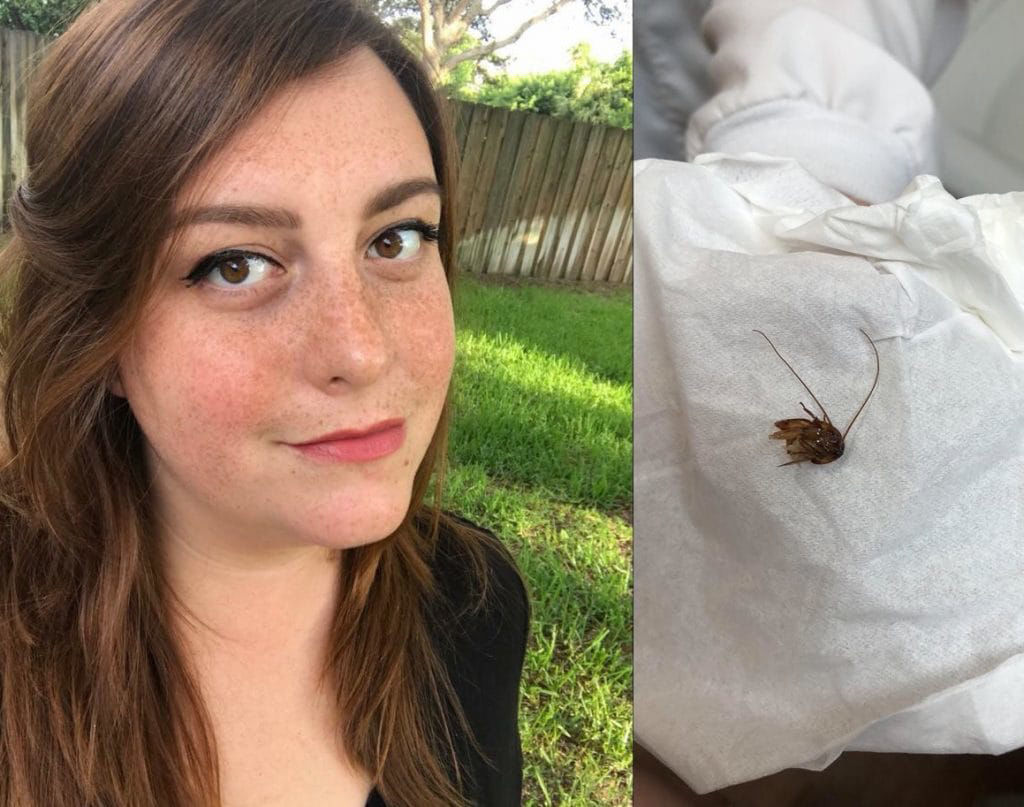 A cockroach crawled into a Florida woman's ear. It took nine days to ...