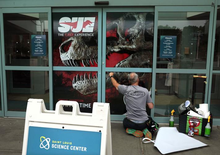 T. rex skeleton replica comes to St. Louis Science Center