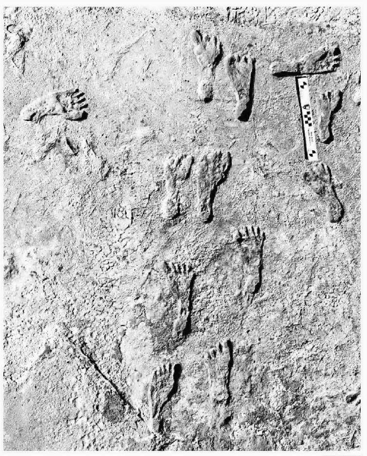 Ancient footprints upend New World timeline