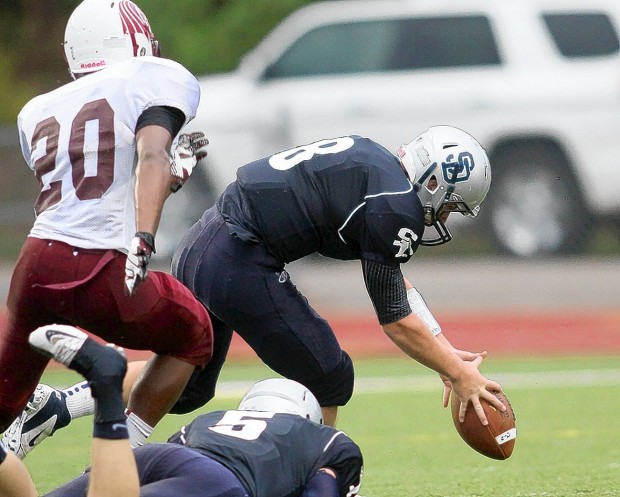 Cardinal Ritter unable to overcome St. Dominic's third quarter TD frenzy