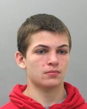 Craigslist helps police nab teen after golf club thefts in south St ...