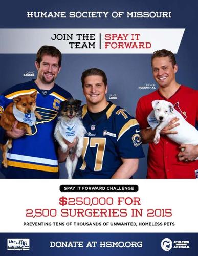 STL sports stars helping Humane Society drive