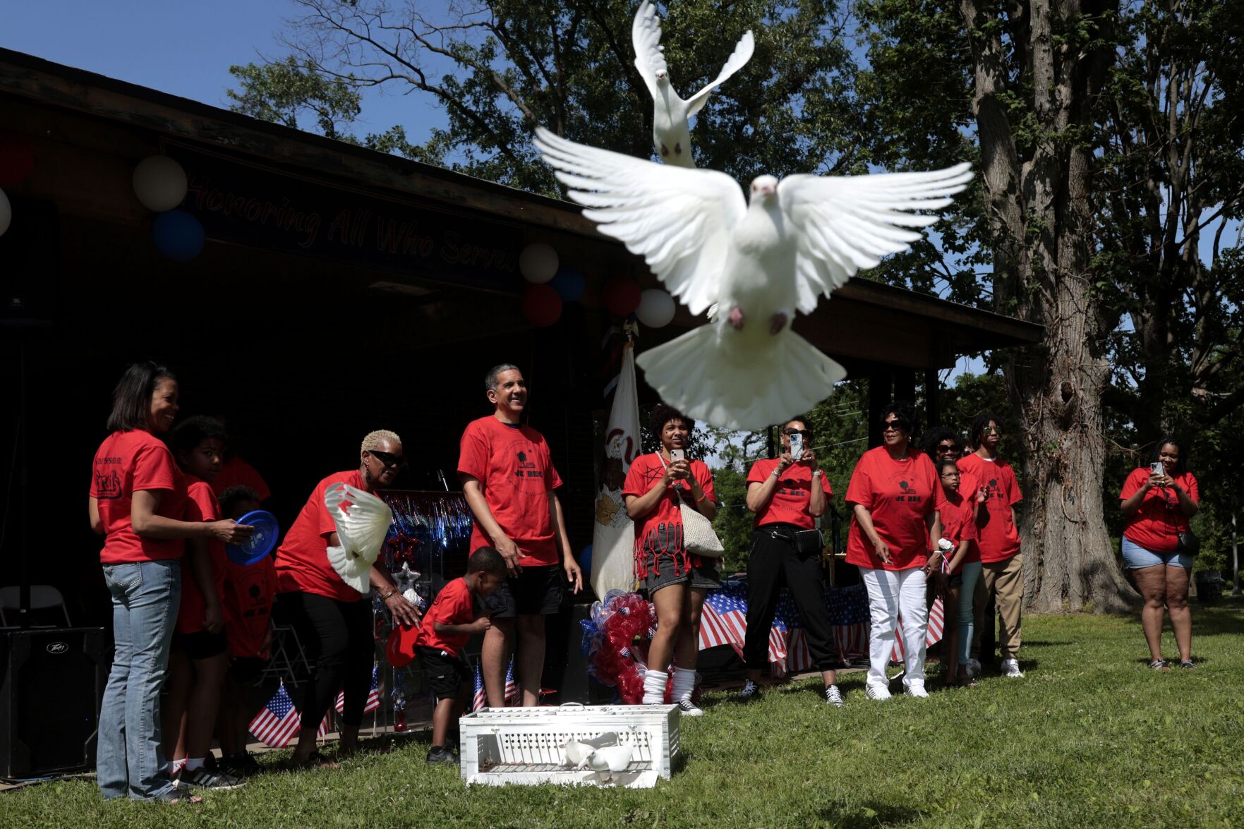 Dove releases boom in the St. Louis area. Owners train them to return ...