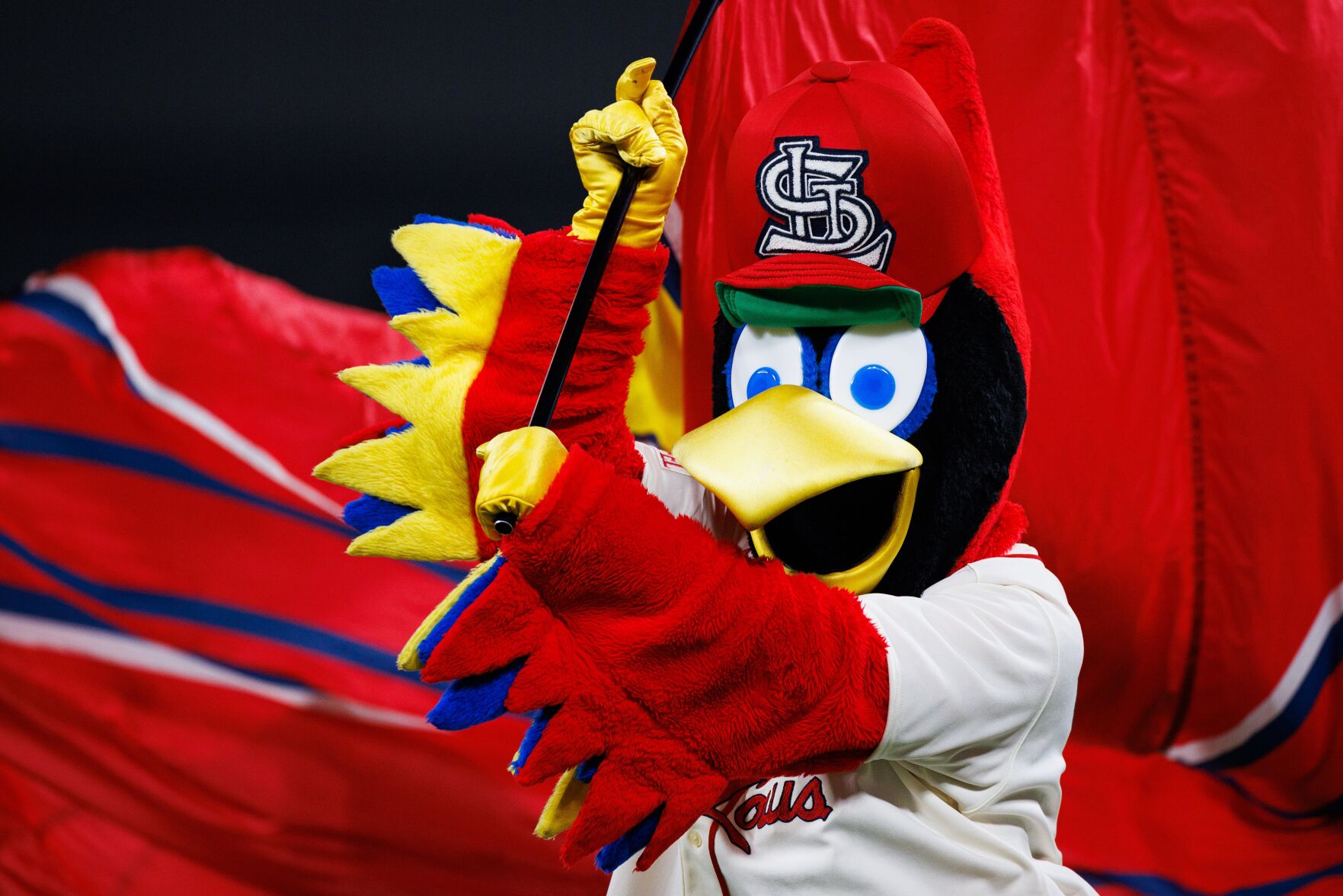 Cardinals mascot Fredbird up for Mascot Hall of Fame