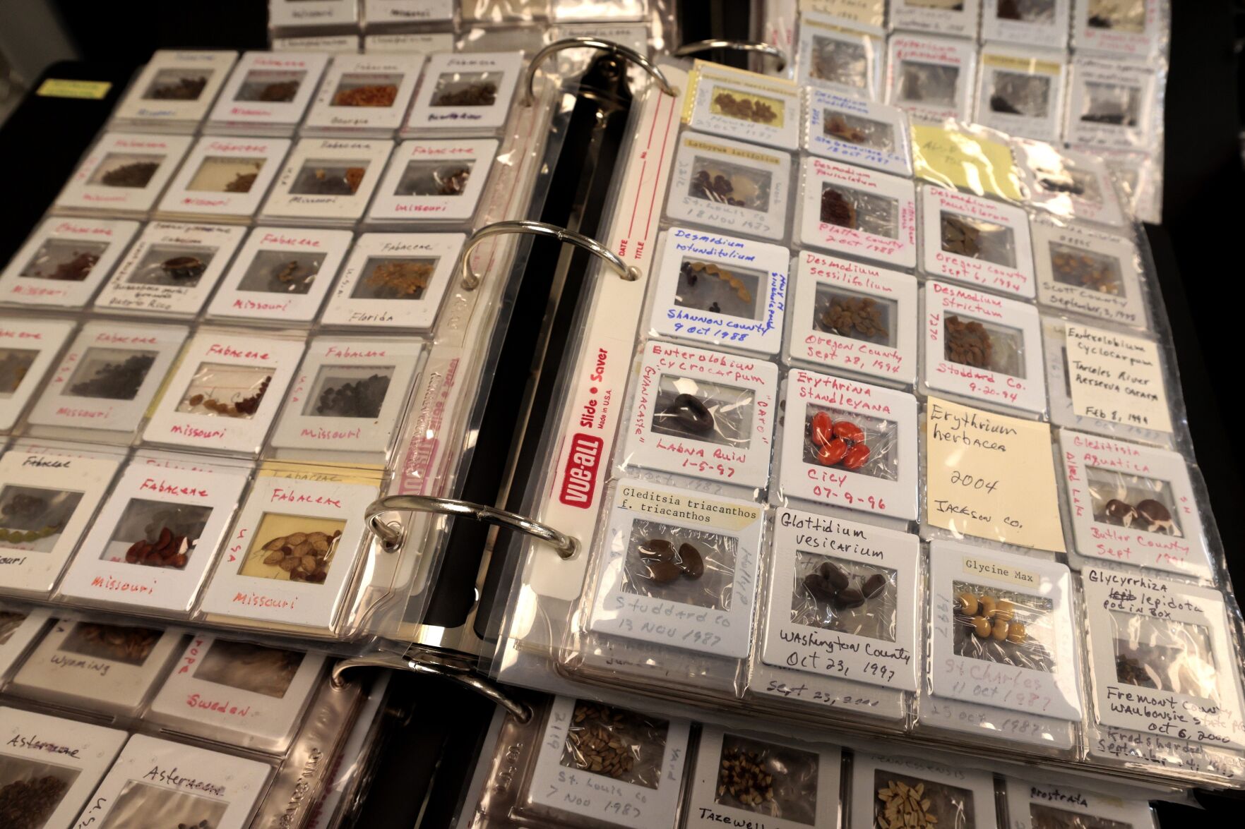 Photos: Seed bank at Missouri Botanical Garden helps preserve flora