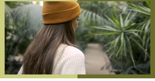 How to get the benefits of forest bathing sans forest