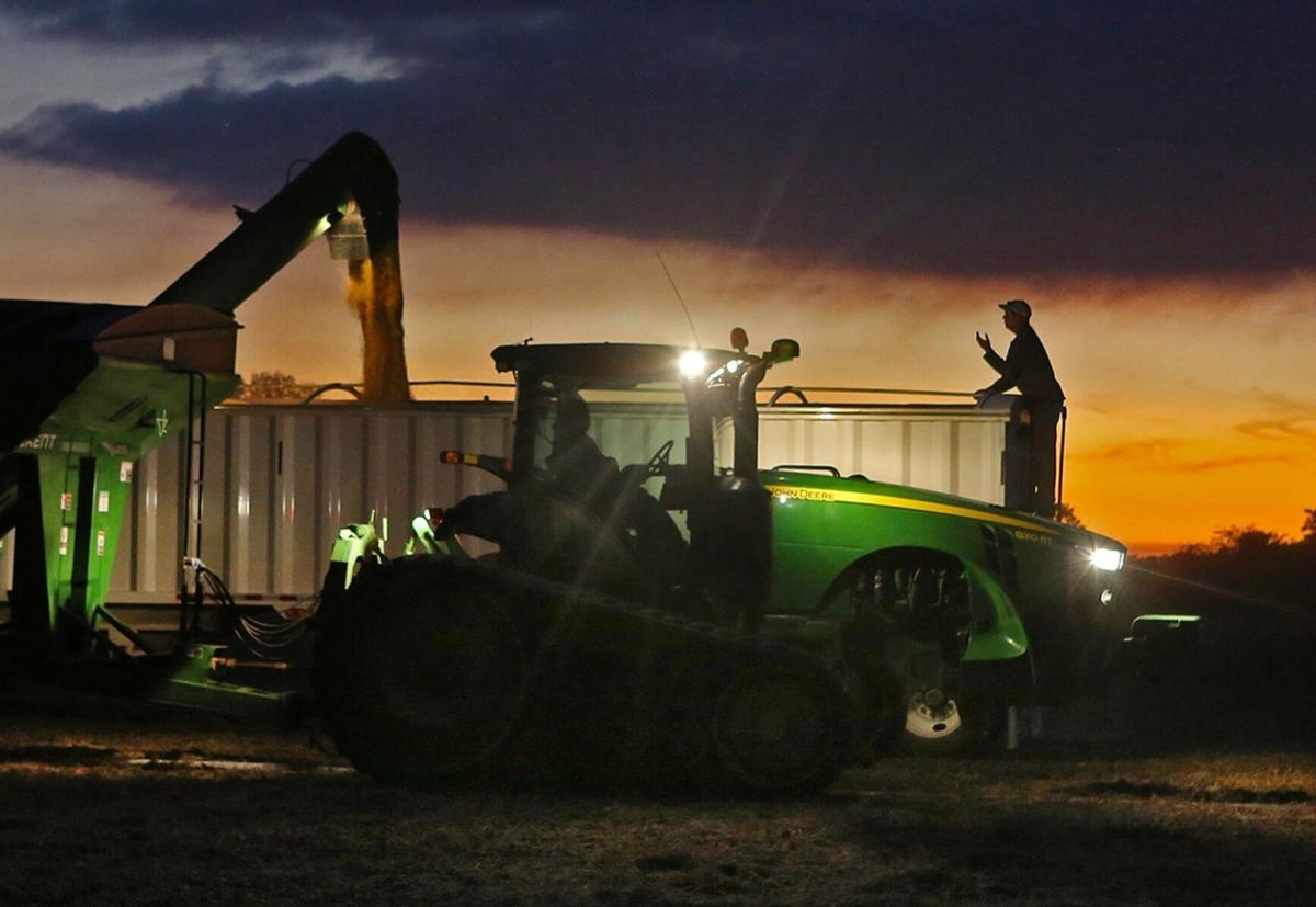 Judge bars Bayer weed killer dicamba from use on farms