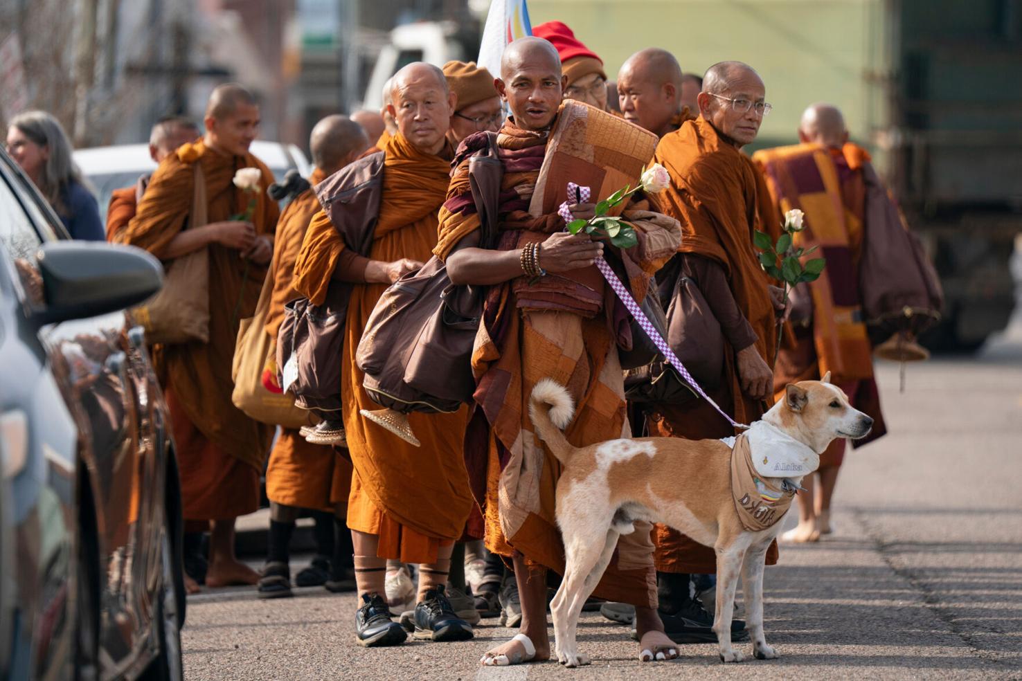 Buddhist monks and dog captivate Americans on walk for peace