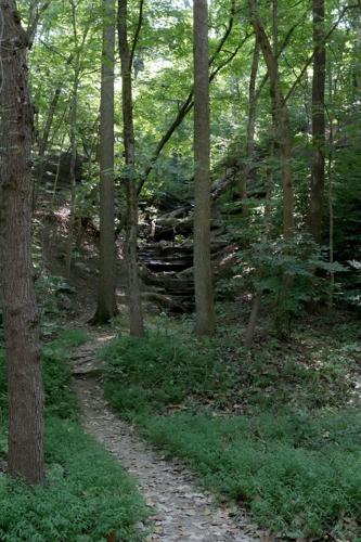 Hidden gems: Creve Coeur Park, St. Louis County's largest, has a hidden ...