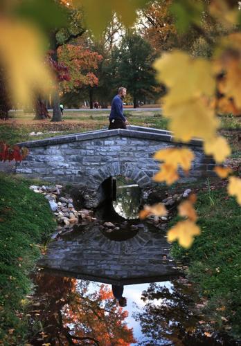 A stream ran underground in Tower Grove Park for 100 years. Now, it's ...