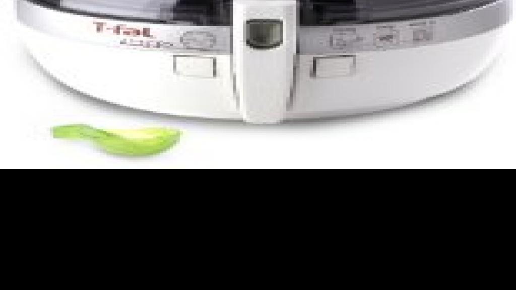 High & Low: T-Fal ActiFry low-fat cooker | Food and cooking | stltoday.com