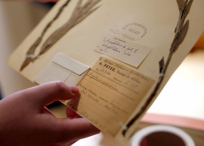 MoBot uses AI to save millions of plant specimens