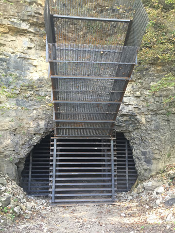 Preserving the Indiana bat