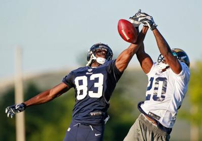 Record crowd at Rams’ practice